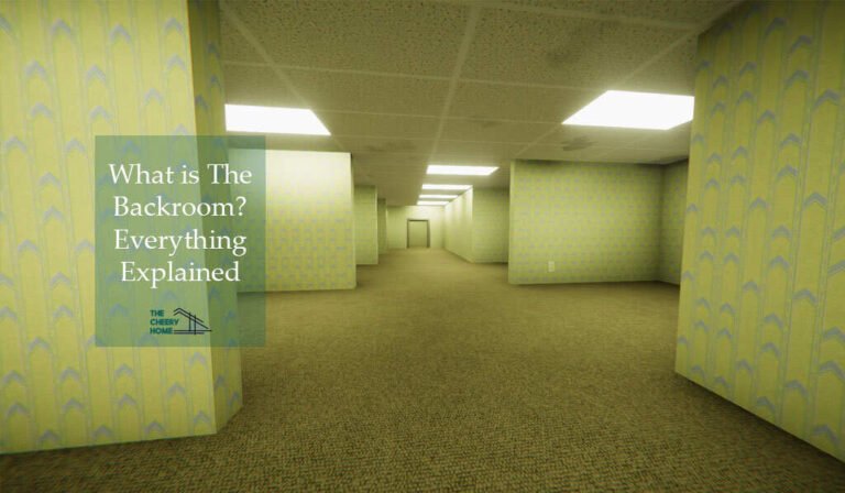 What is a Riser Room? Everything You Need to Know - The Cheery Home